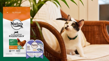 Why Choose NUTRO™ for Your Dog or Cat?