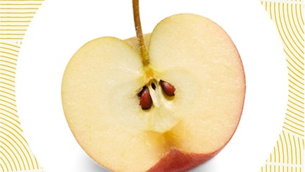 Why Choose NUTRO™ for Your Dog or Cat?