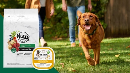 Why Choose NUTRO™ for Your Dog or Cat?