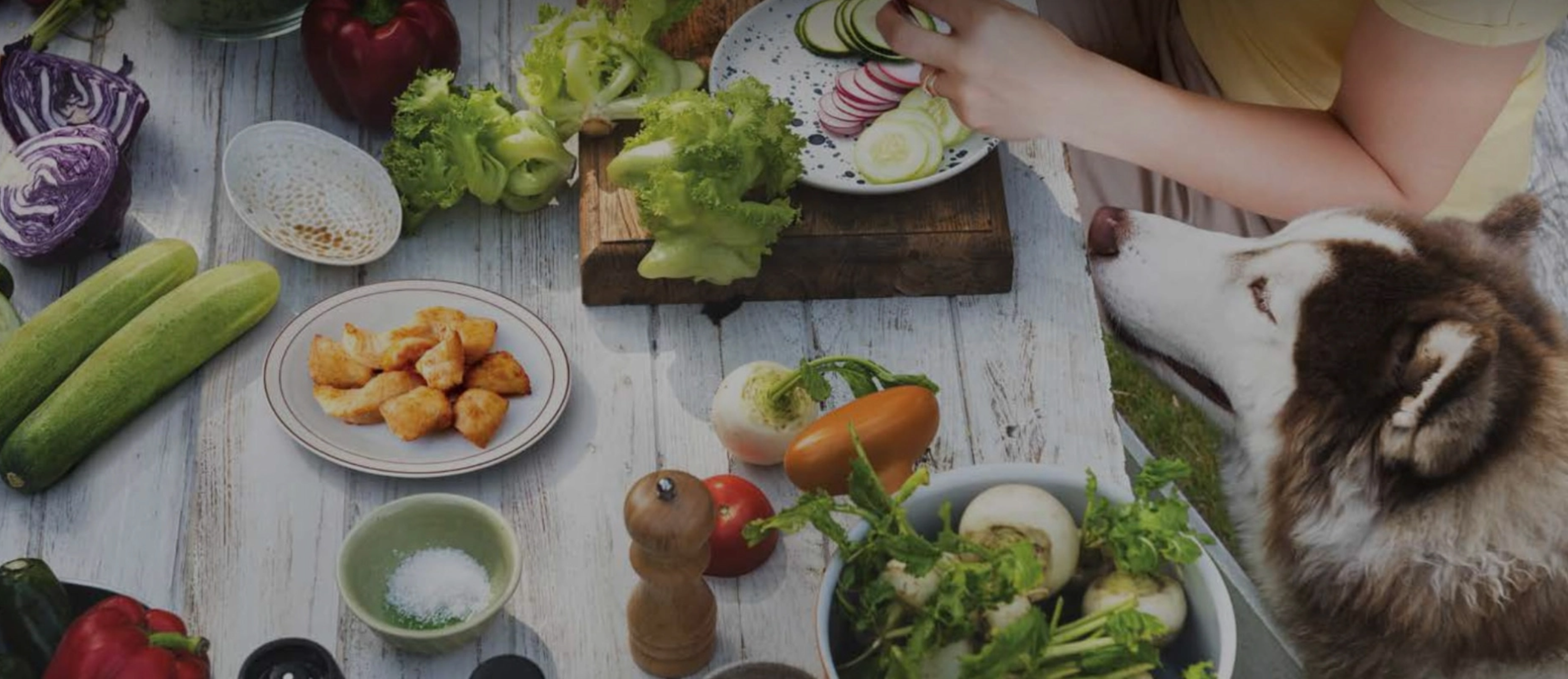 Nutro邃 Wet Dry Dog Food For Senior Dogs Nutro邃