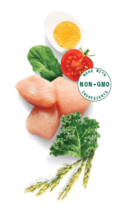 NUTRO SUSTAINABILITY