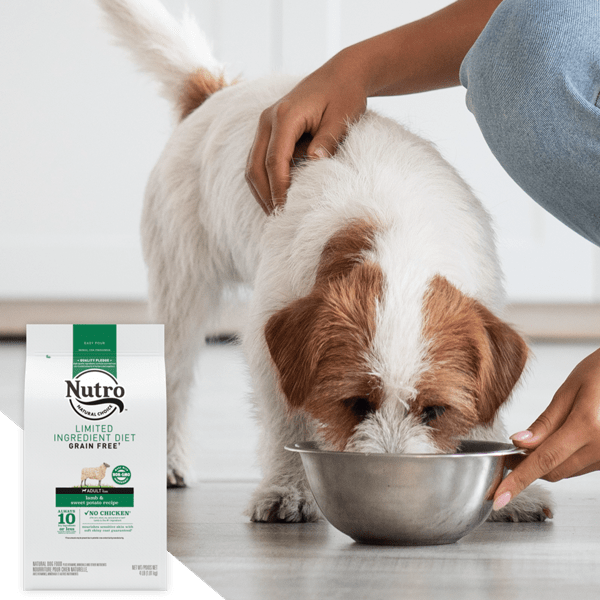 Dog Food | Cat Food | Pet Treats - NUTRO™