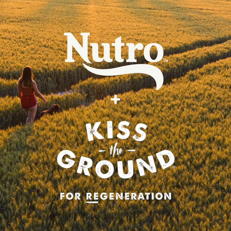 Helping Protect Nature’s Unsung Hero: Soil | NUTRO™
